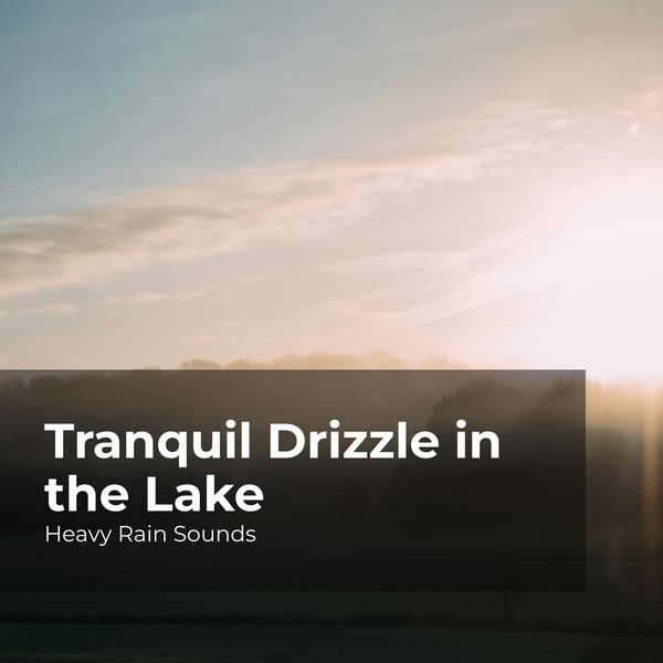 Tranquil Drizzle in the Lake, Heavy Rain Sounds - Qobuz