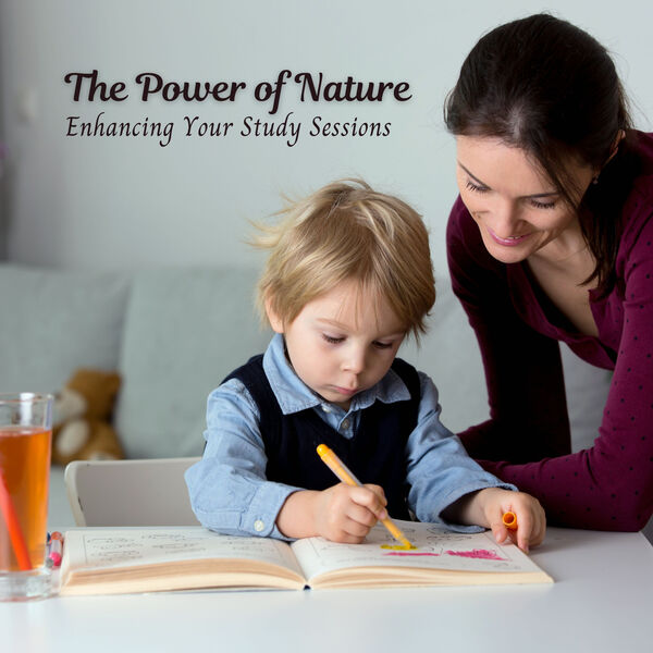 The Power of Nature: Enhancing Your Study Sessions, Beautiful Nature ...