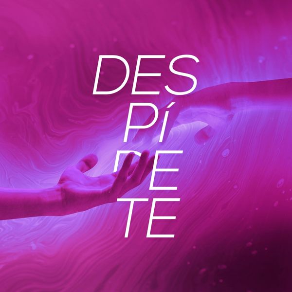 Despídete (feat. Sofía Stainer, Daniel Lo Presti, Esteban Nañez ...