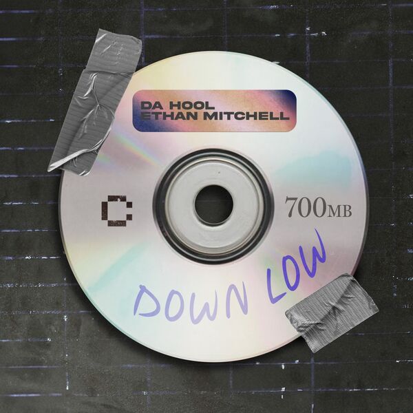 Down Low (Extended Version), Da Hool - Qobuz