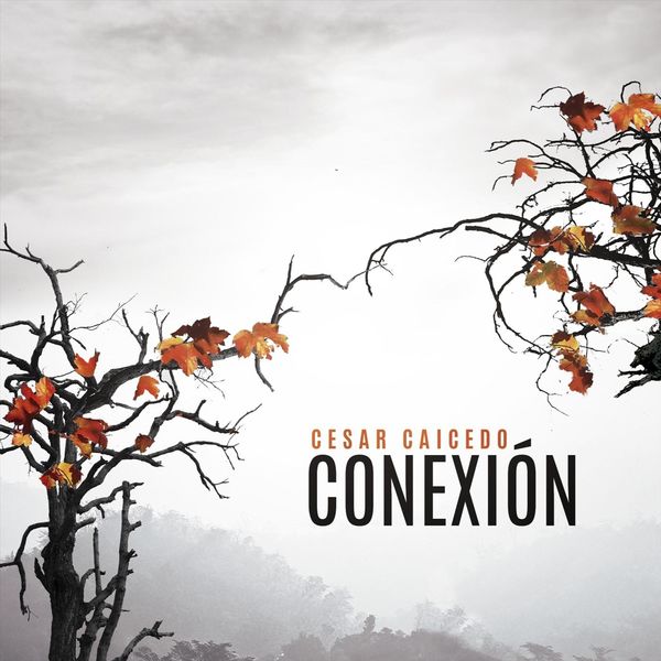 Conexión, Cesar Caicedo - Qobuz