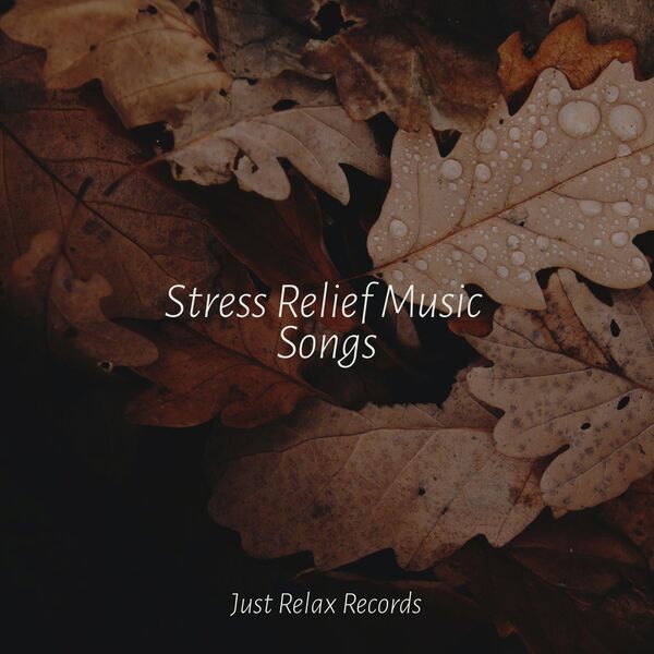 Stress Relief Music Songs, Preschool Kids - Qobuz