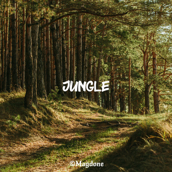 Jungle, Magdone - Qobuz