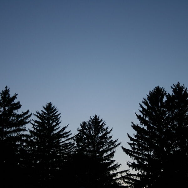 I Like Things, Bobby P. - Qobuz