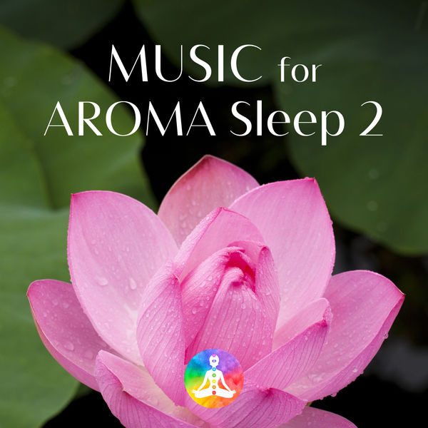 Music For Deep Sleep AROMA2 528Hz Miracle Tone, Sleep Music Laboratory ...