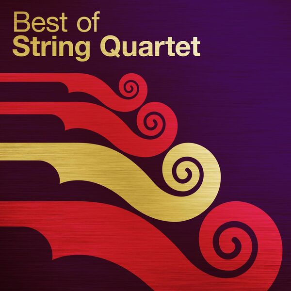 Best of String Quartet, Various Artists - Qobuz
