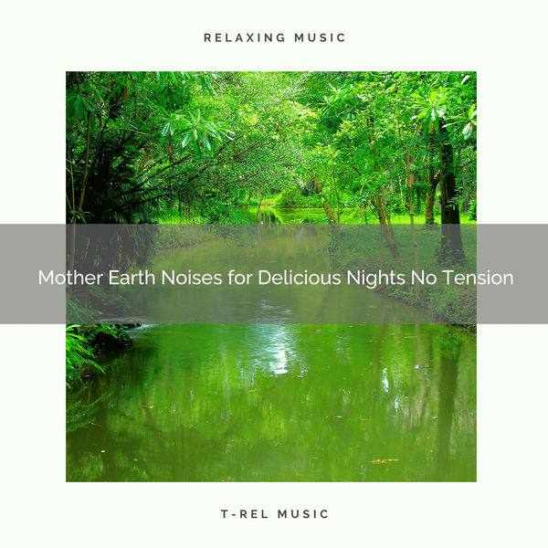 Mother Earth Noises for Delicious Nights No Tension, Nature Bird Sounds ...