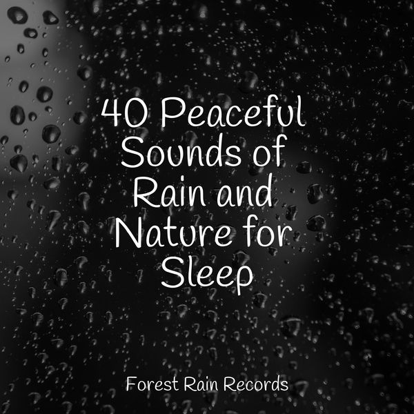 40 Peaceful Sounds of Rain and Nature for Sleep, The Sleep Helpers - Qobuz