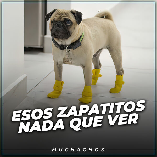Esos Zapatitos Nada Que Ver, Muchachos - Qobuz