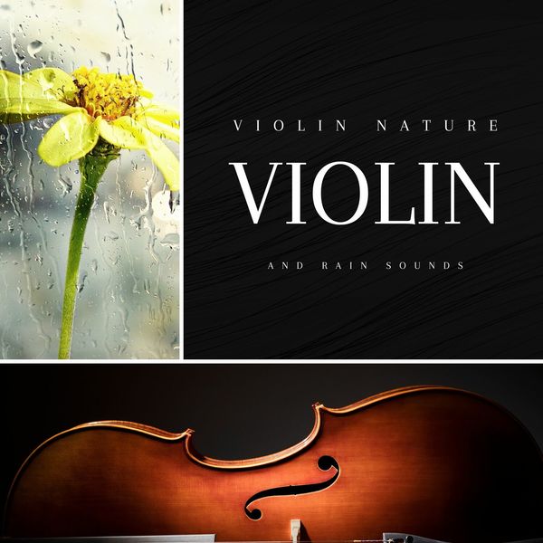 Violin and Rain Sounds in the Background, Violin Nature - Qobuz