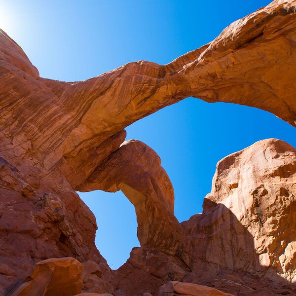 Family of Fortune, Darius Bouchard by Diaspor Chillybelle - Qobuz