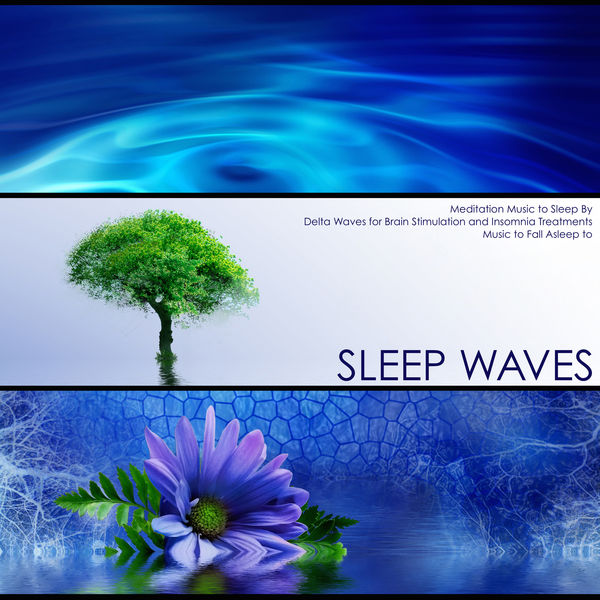 Sleep Waves - Meditation Music to Sleep By, Delta Waves for Brain ...
