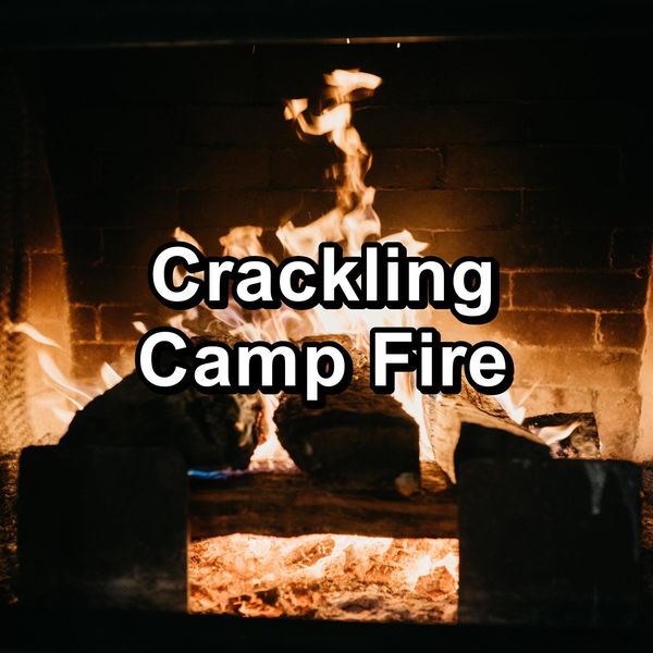 Crackling Camp Fire, Sleep Sounds of Nature & Campfire Sounds - Qobuz