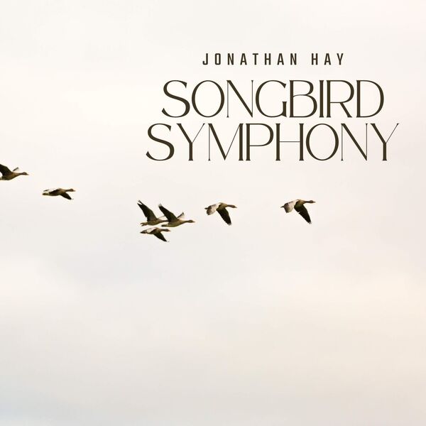 Songbird Symphony, Jonathan Hay - Qobuz
