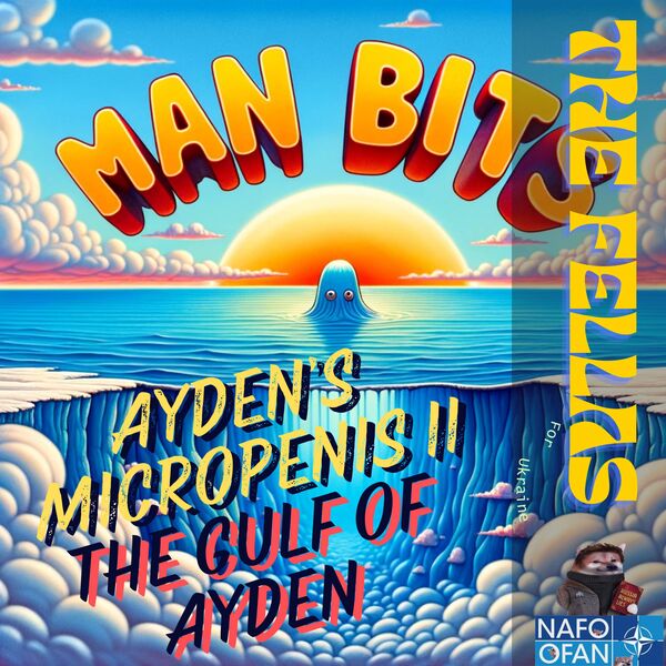 Aydens Micropenis Ii The Gulf Of Ayden The Fellas For Ukraine Qobuz