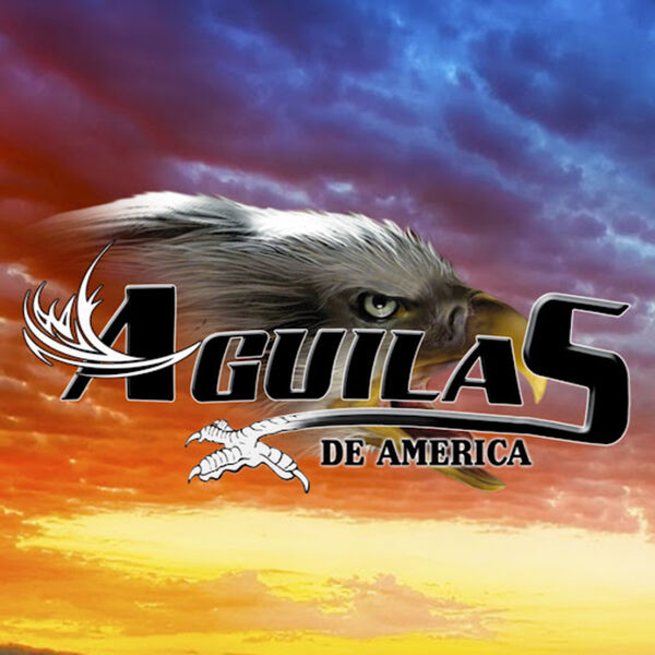 Por Ti Volvere, Aguilas de América - Qobuz