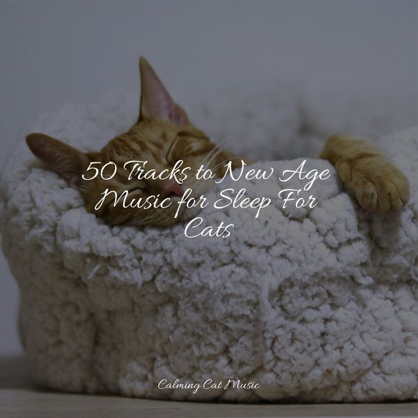 50 Tracks to New Age Music for Sleep For Cats, Jazz Music Therapy For ...