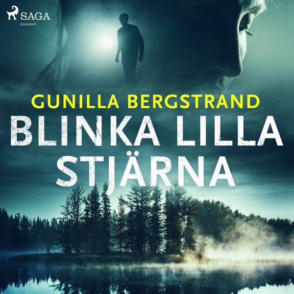 Blinka lilla stjärna, Gunilla Bergstrand - Qobuz
