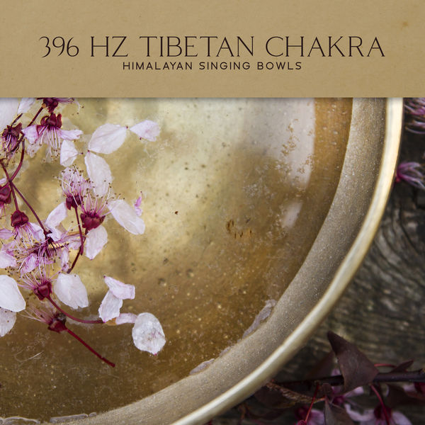 396 Hz Tibetan Chakra: Himalayan Singing Bowls, Meditation Retreat, Meditative Mind, Meditation ...