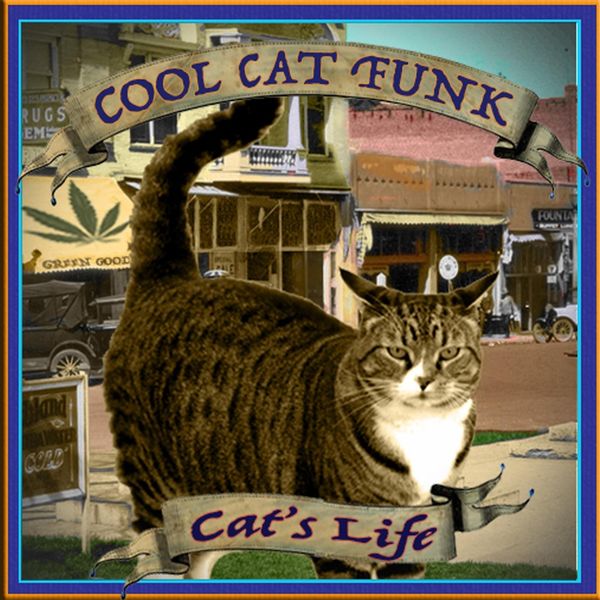 Cat's Life, Cool Cat Funk - Qobuz