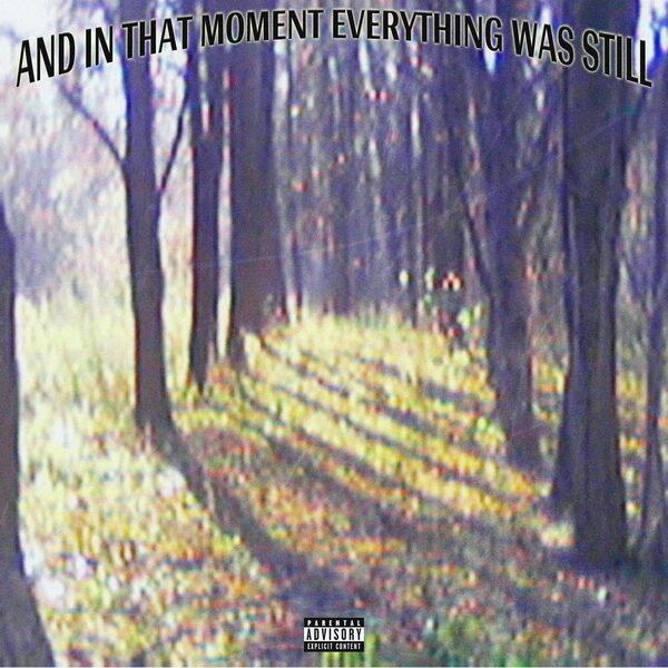 AND IN THAT MOMENT EVERYTHING WAS STILL, Crows Peak - Qobuz