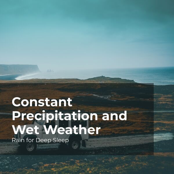 Constant Precipitation and Wet Weather, Various Composers by Rain for ...