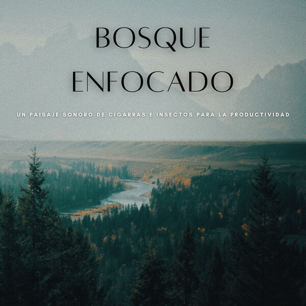 Bosque Enfocado: Un Paisaje Sonoro De Cigarras E Insectos Para La ...