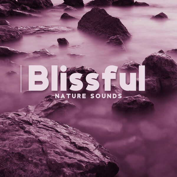Blissful Nature Sounds with Meditation Instruments to De-stress ...