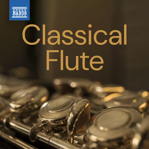 Classical Flute, Johann Sebastian Bach - Qobuz