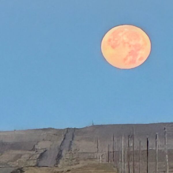 My Moon, Ryan Smith - Qobuz