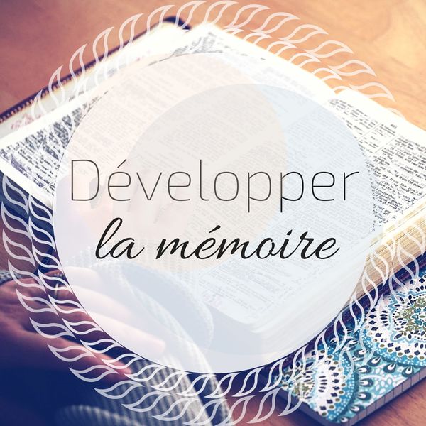 Développer la mémoire - Compositions délicates pour mieux comprendre et ...