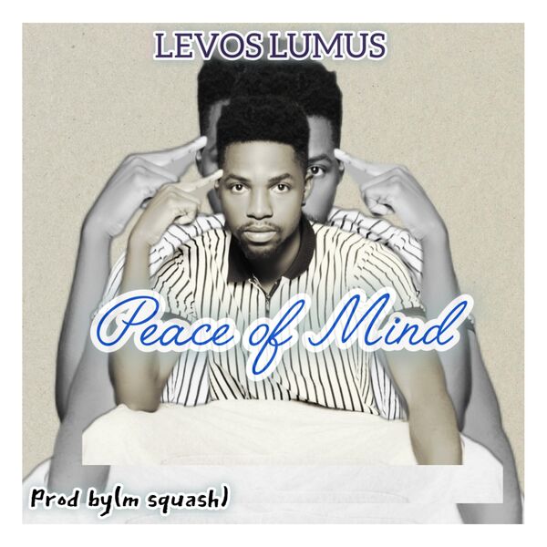 PEACE OF MIND, LEVOS LUMUS - Qobuz