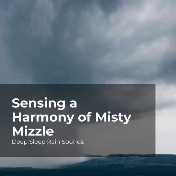 Sensing a Harmony of Misty Mizzle, Deep Sleep Rain Sounds - Qobuz