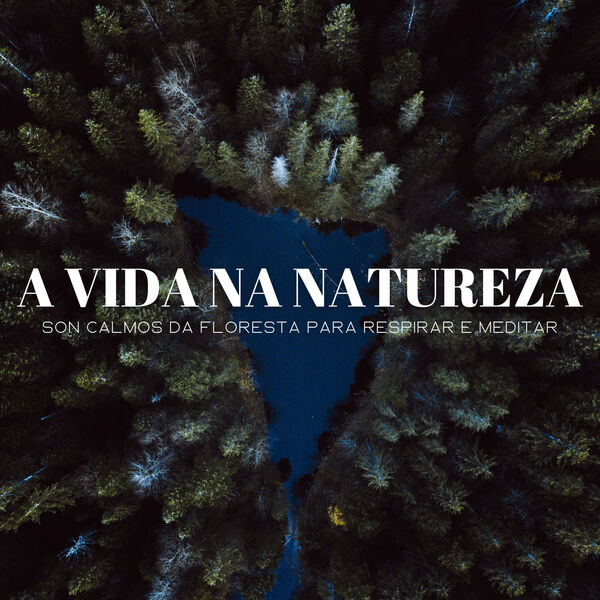 A Vida Na Natureza: Son Calmos Da Floresta Para Respirar E Meditar ...