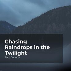 Chasing Raindrops in the Twilight, Rain Sounds - Qobuz