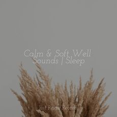Calm & Soft Well Sounds | Sleep, Ambient - Qobuz
