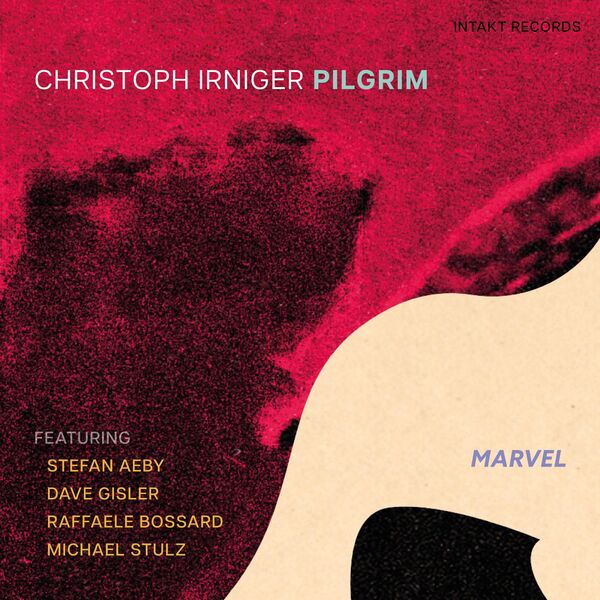 Marvel, Christoph Irniger Pilgrim - Qobuz