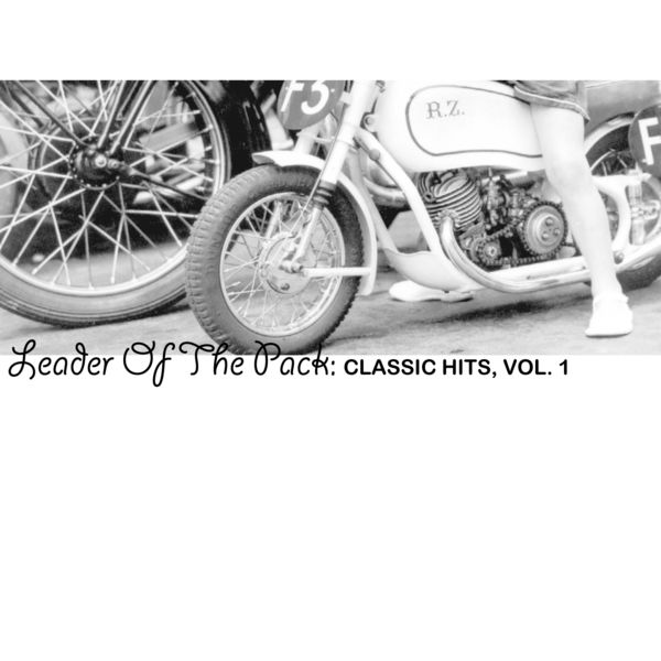 Leader of the Pack: Classic Hits, Vol. 1, Various Artists - Qobuz