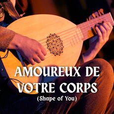 Amoureux de votre corps (Shape of You in Medieval Style Bardcore ...