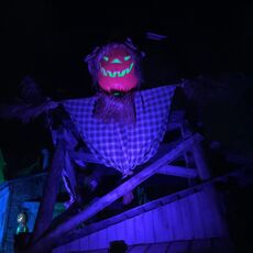 twilight, KT! - Qobuz