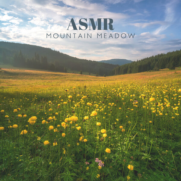 ASMR Mountain Meadow: Nature Relaxing Sounds & Birds, River, Brook ...