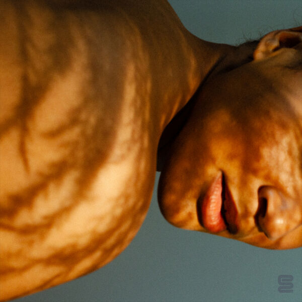 Homebody, Frida Touray - Qobuz