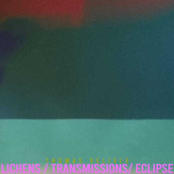 Lichens / Transmissions/ Eclipse (Steel and Leaf Mix), Thomas deLisle ...