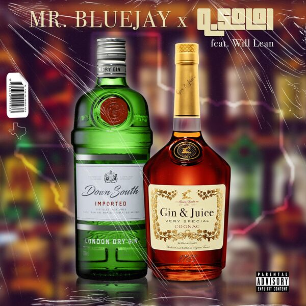 Down South Gin & Juice (feat. Mr. Bluejay & Will Lean), Q. Solo1 - Qobuz