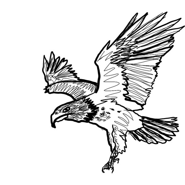 A Tribute to The Steel Woods, Aaron Raitiere - Qobuz