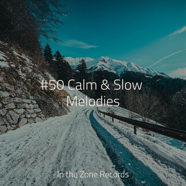 #50 Calm & Slow Melodies, Ambiente - Qobuz