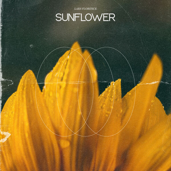 Sunflower, Lars Florence - Qobuz