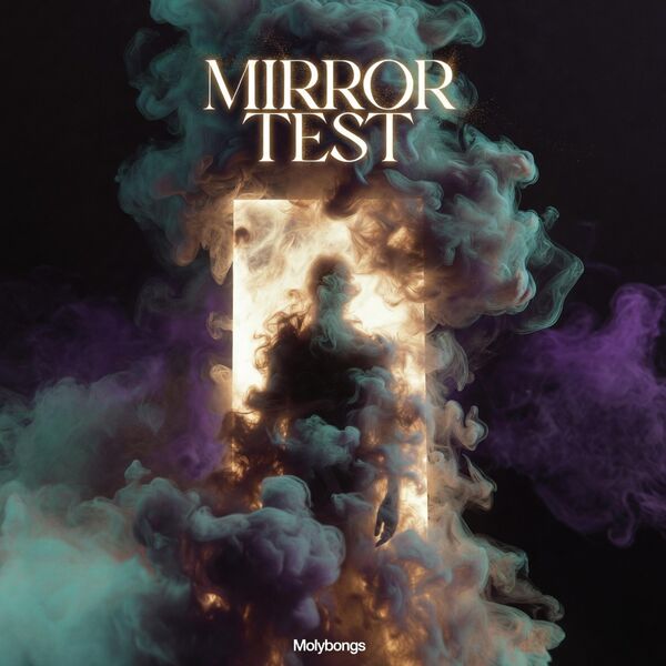 Mirror Test, Molybongs - Qobuz