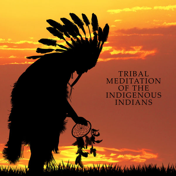 Tribal Meditation of the Indigenous Indians, Stress Relief Calm Oasis ...