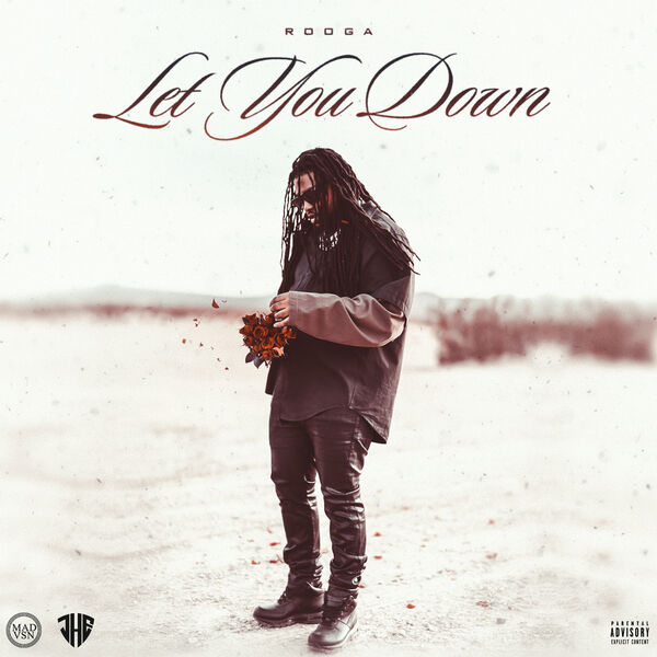 Let You Down, Rooga - Qobuz